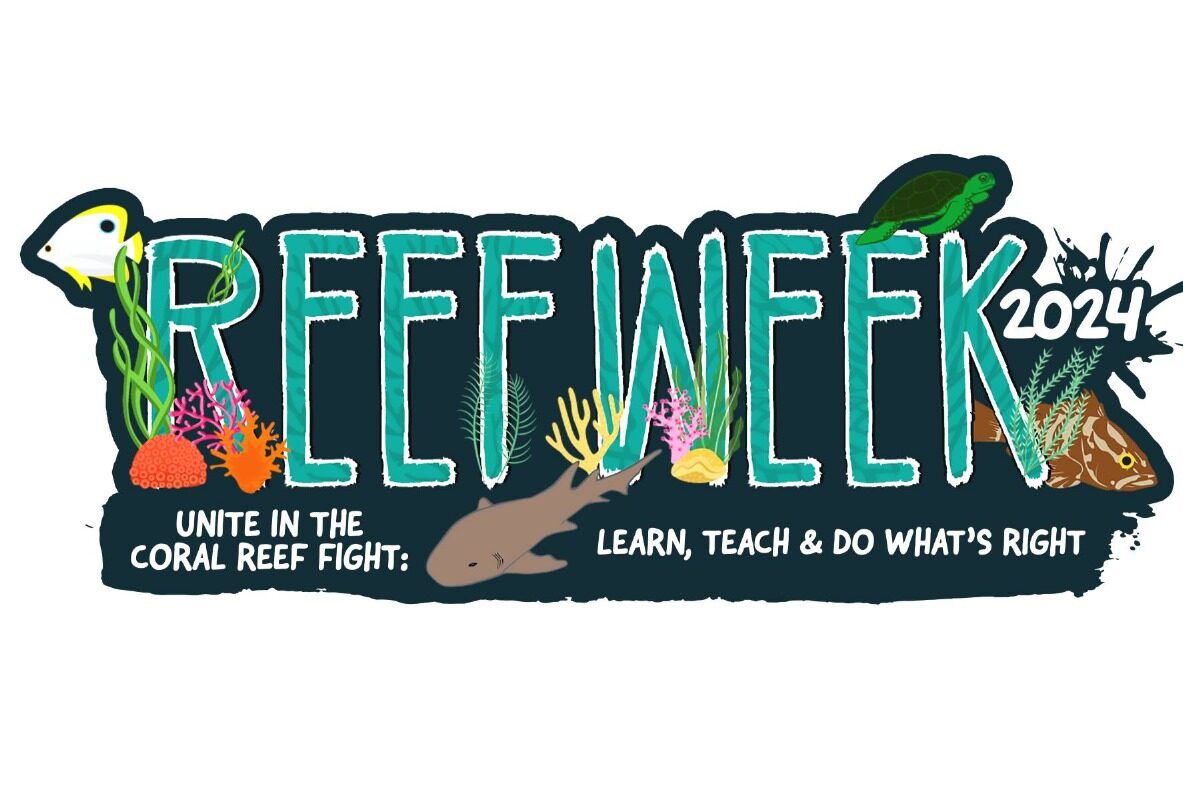 TIDE – Leading Community Participation in Conservation