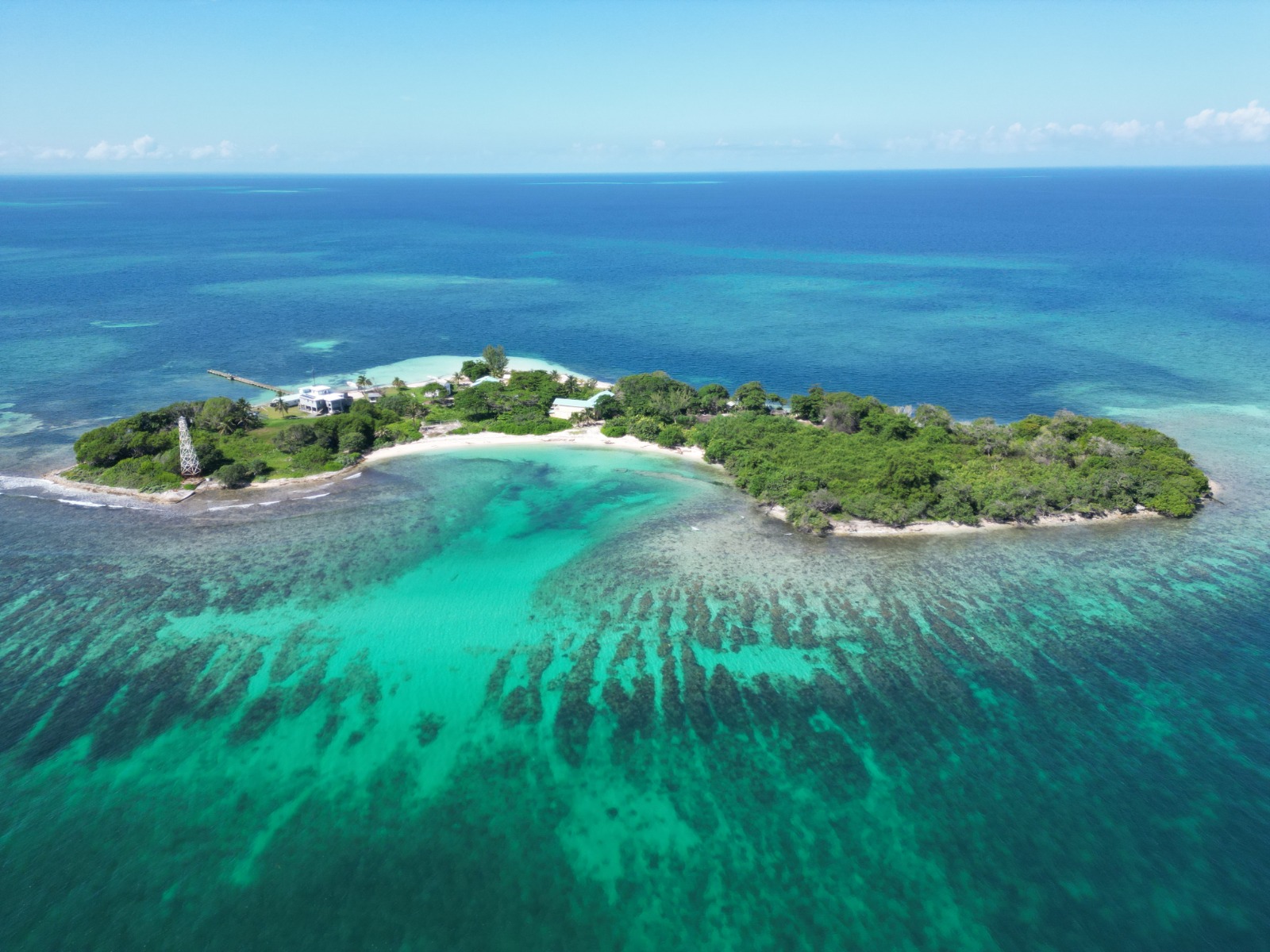 Sapodilla Cayes Marine Reserve – TIDE